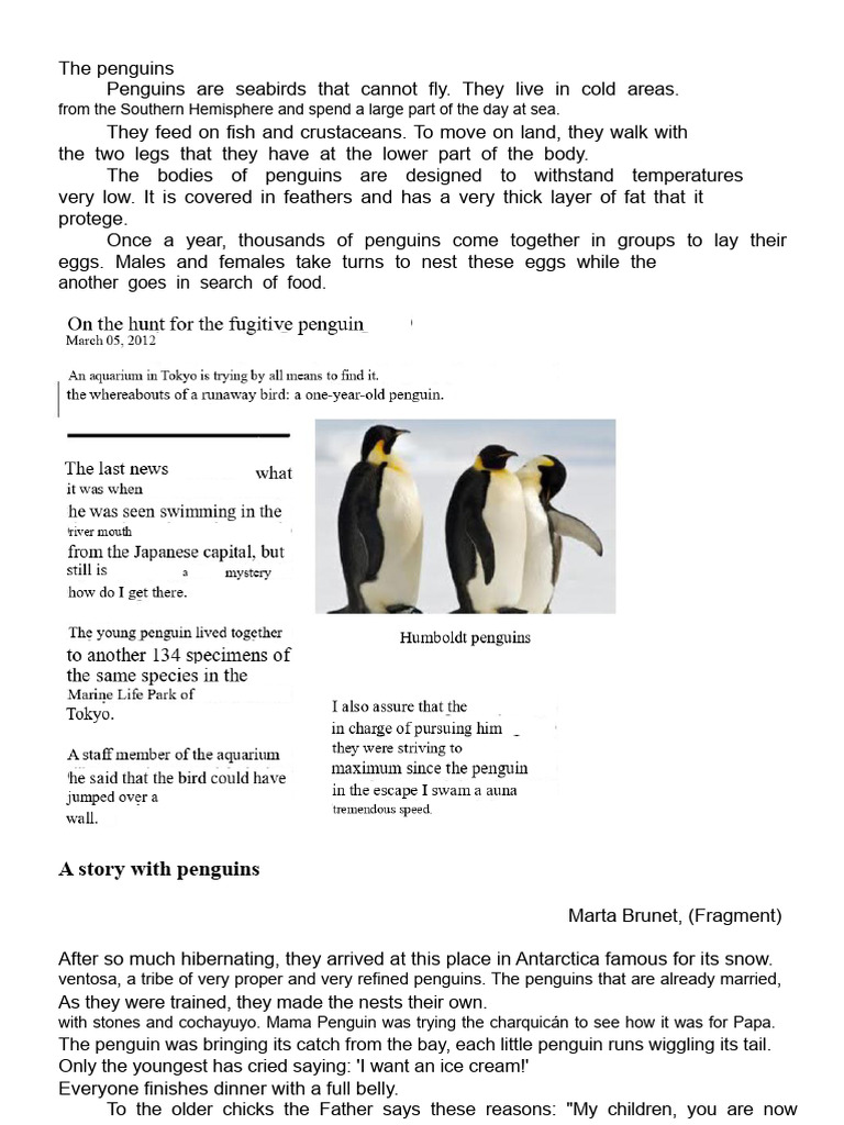 The Penguins - Basic Reading | PDF