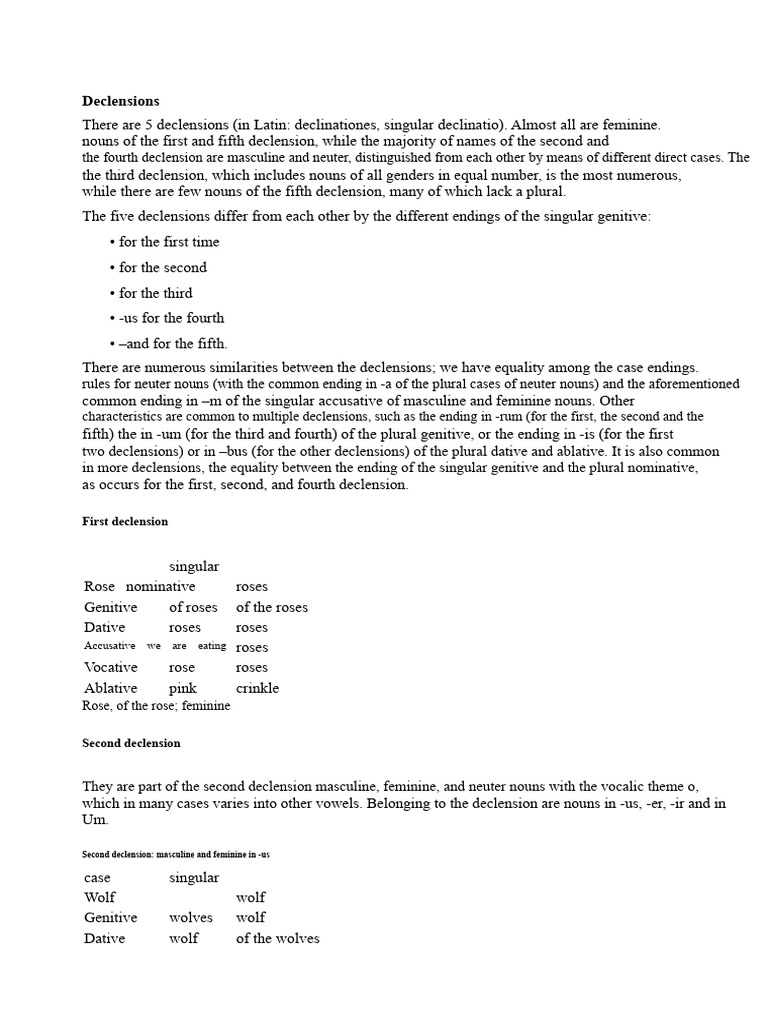 Latin Declensions | PDF | Grammatical Gender | Syntactic Relationships