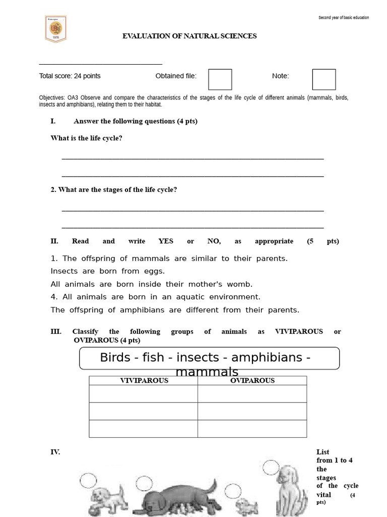 Life Cycle Test | PDF | Amphibian | Egg