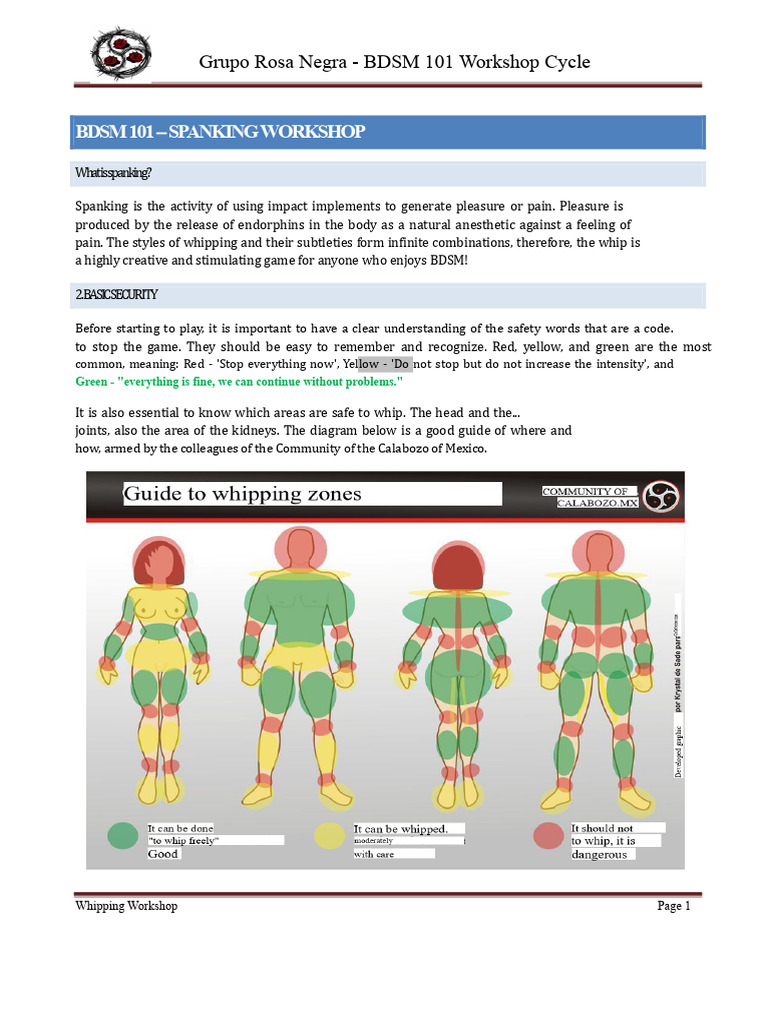 Bdsm 101 Spanking Techniques Workshop Pdf Bdsm Whip