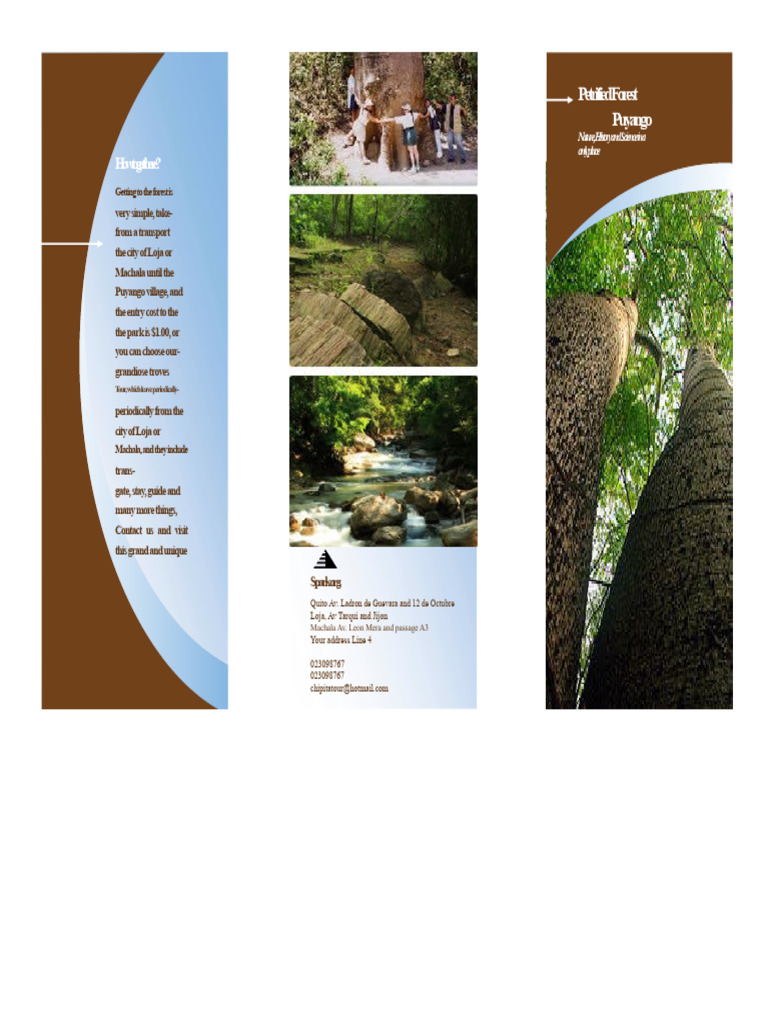 Puyango Forest Brochure | PDF | Natural Environment | Earth Sciences