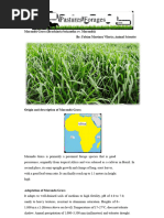 Official FFA Opening and Closing Ceremonies Script | PDF | Pledge Of ...
