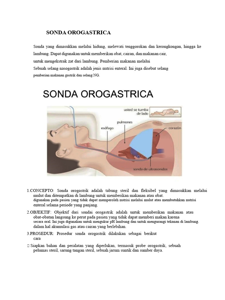 Sonda Orogastrik Dan Nasogastrik | PDF