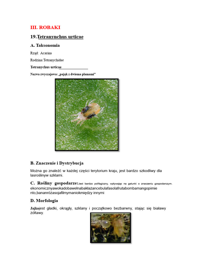 Roztocza | PDF