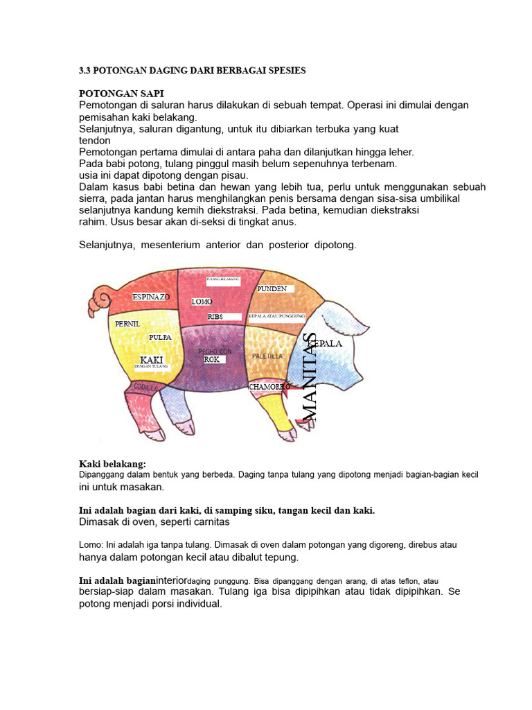 Panduan Lengkap Potongan Daging Sapi dan Babi | PDF