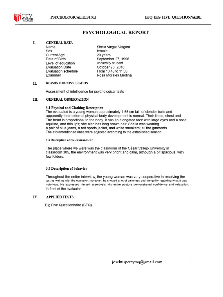 Big Five Questionnaire Report for Sheila | PDF | Creativity | Psychology