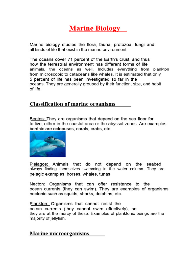 Marine Biology | PDF | Marine Biology | Plankton