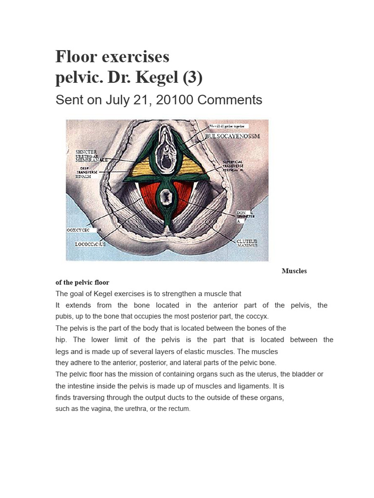 Kegel Exercises for Pelvic Floor Strength | PDF | Urinary Incontinence ...