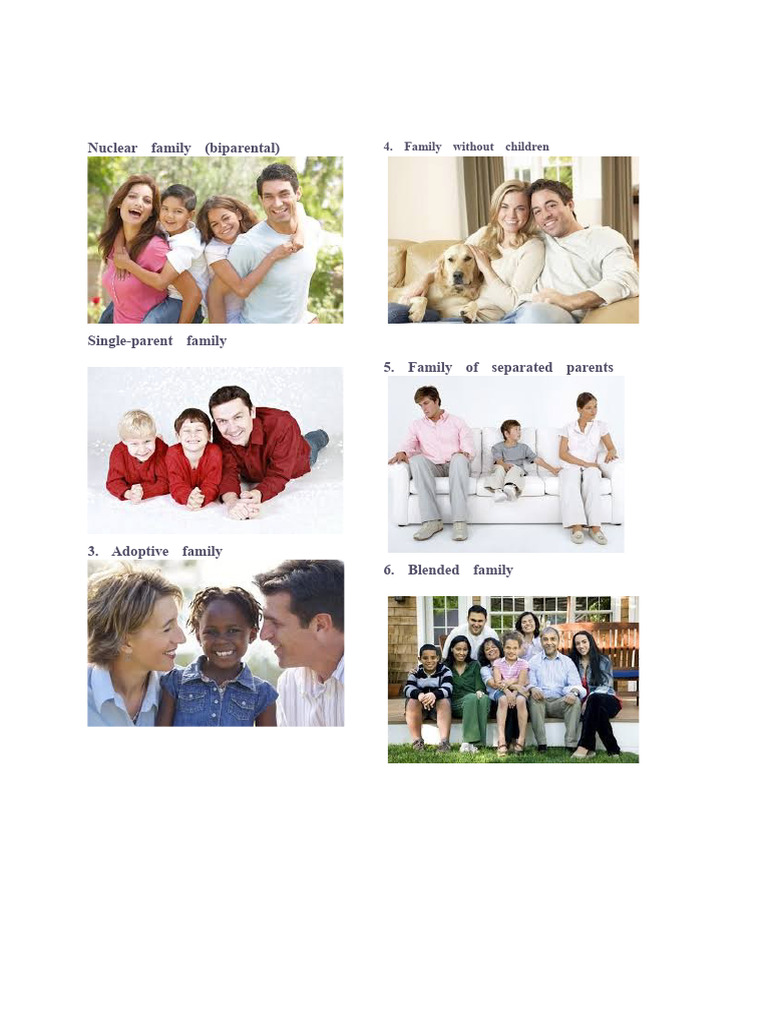 Types of Families | PDF