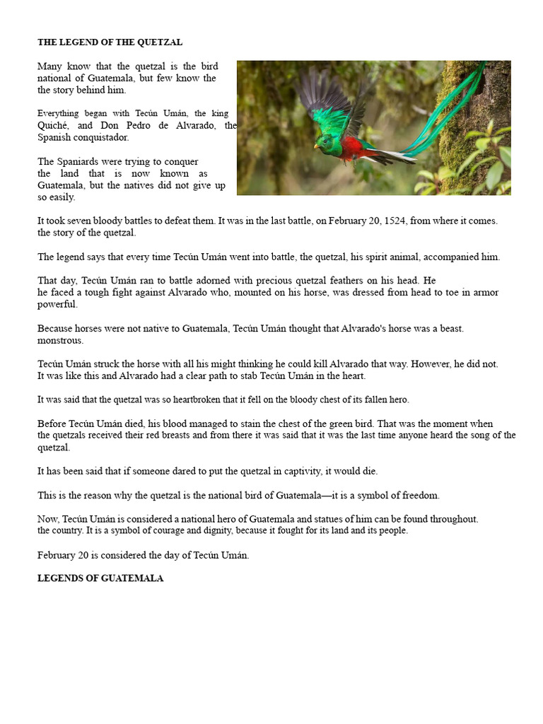 The Legend of The Quetzal | PDF | Food Web | Ecology
