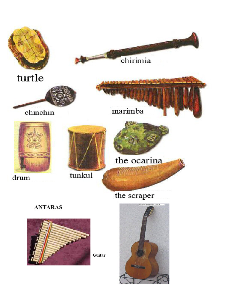 Instrument Os | PDF | String Instruments | Pollution