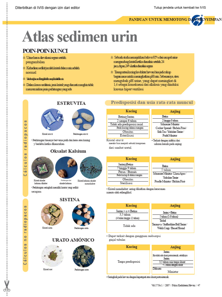 Atlas Sedimen Urin | PDF