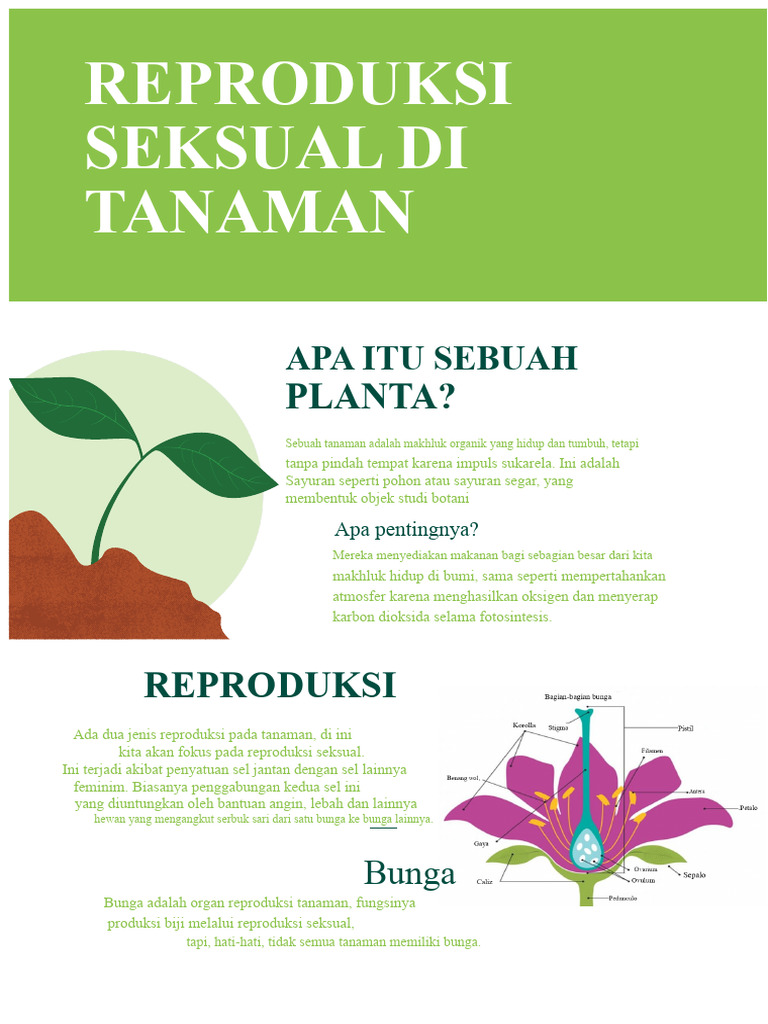 Reproduksi Seksual Pada Tanaman | PDF