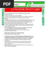Signe de l'épaulette en traumatologie | PDF | Épaule | Appareil locomoteur