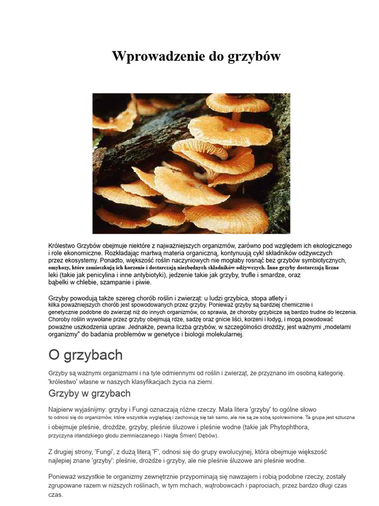 Grzyby | PDF