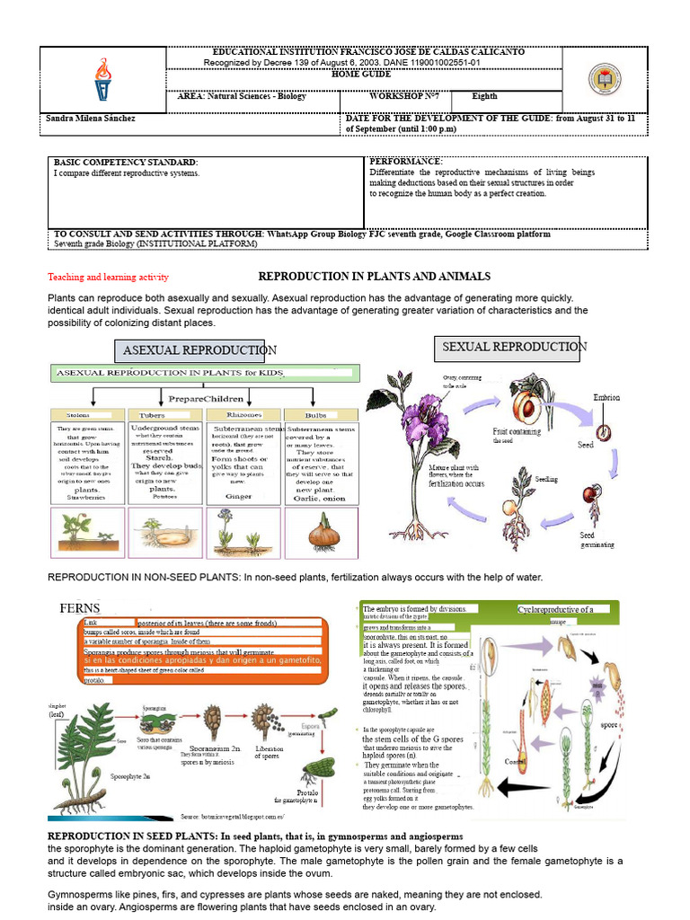 Workshop 7 Eighth Grade Reproduction in Plants, Animals, and Humans ...