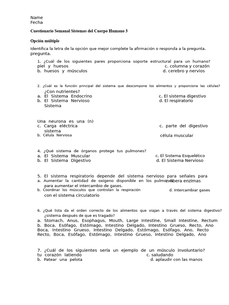 Cuestionario Semanal Sistemas Del Cuerpo Humano 3 | PDF | Axon ...
