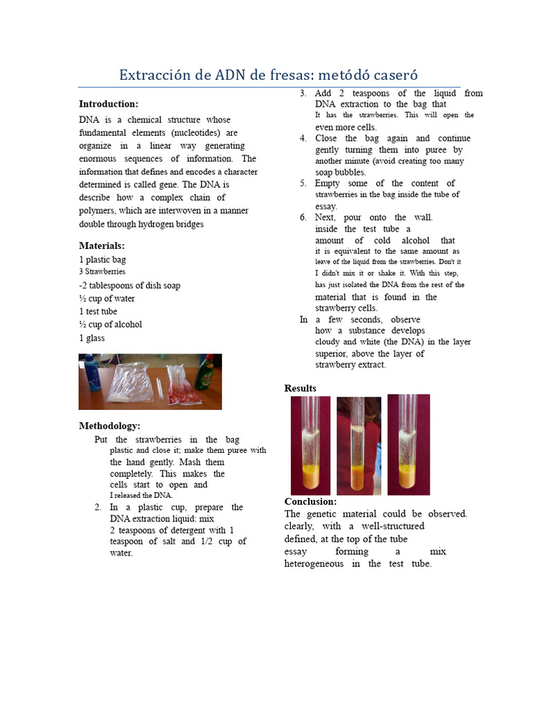 DNA Extraction From Strawberries Poster | PDF | Dna | Cell (Biology)