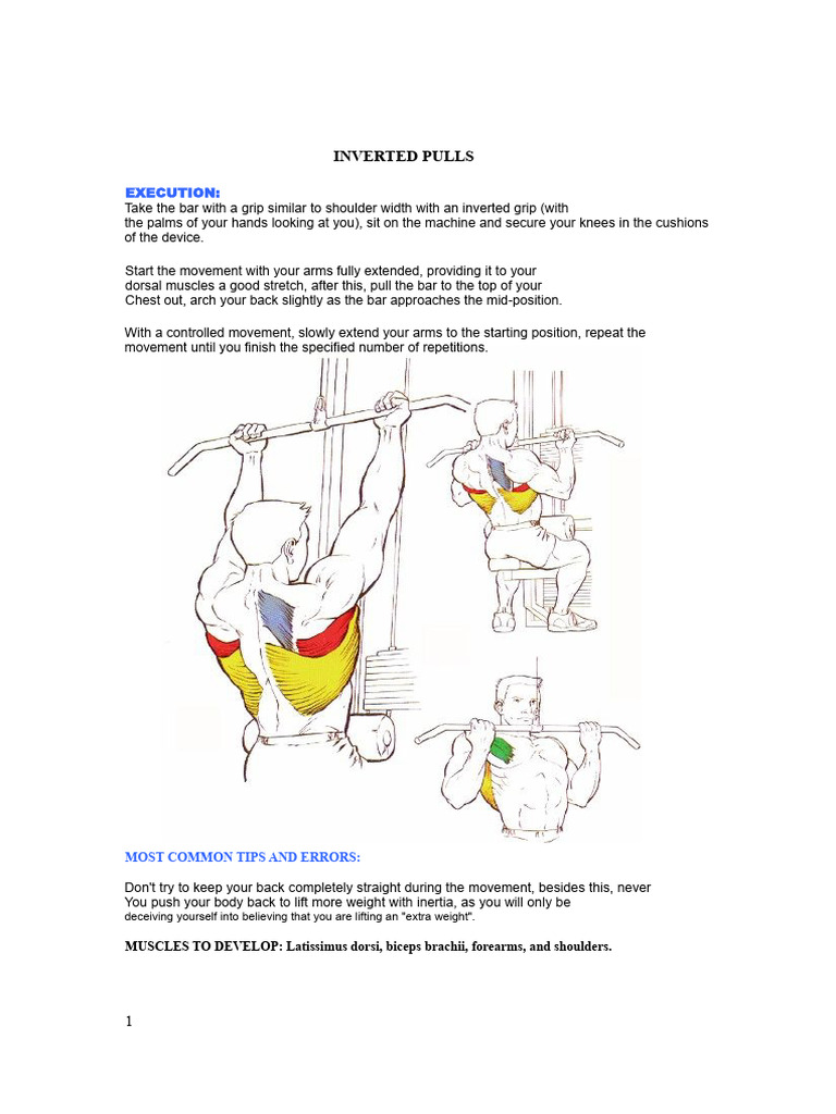 Inverted Pulls and Back Exercises Guide | PDF | Limbs (Anatomy) | Human ...