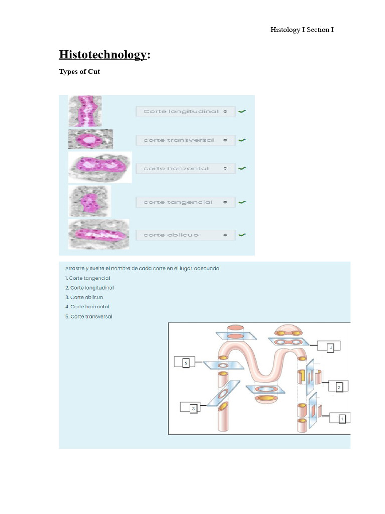 HISTOTECHNOLOGY | PDF | Staining | Histology