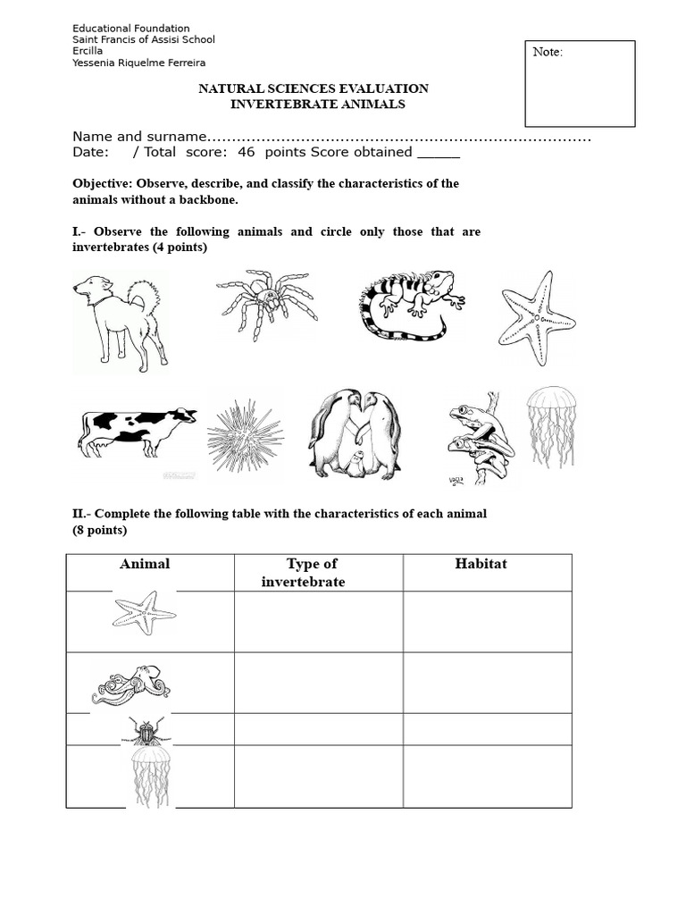 Invertebrate Animals Evaluation Guide | PDF | Invertebrate | Habitat