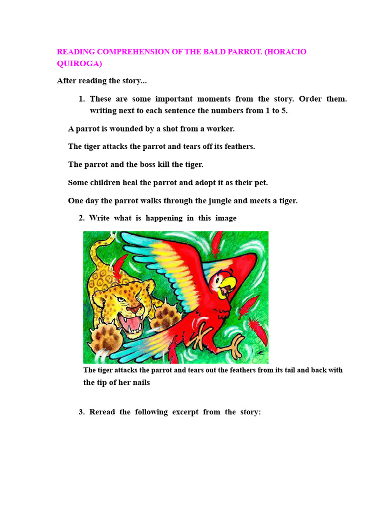 Reading Comprehension of The Bald Parrot PDF | PDF