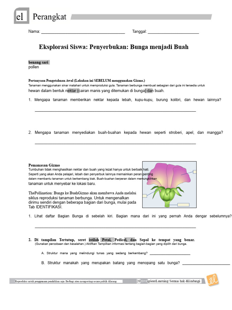 Penyerbukan Bunga Buah SE | PDF