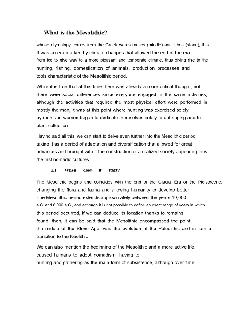 Understanding the Mesolithic Era | PDF | Neolithic | Stone Age