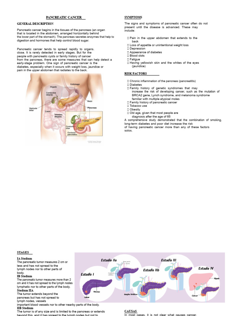 Pancreatic Cancer | PDF | Pancreas | Pancreatic Cancer