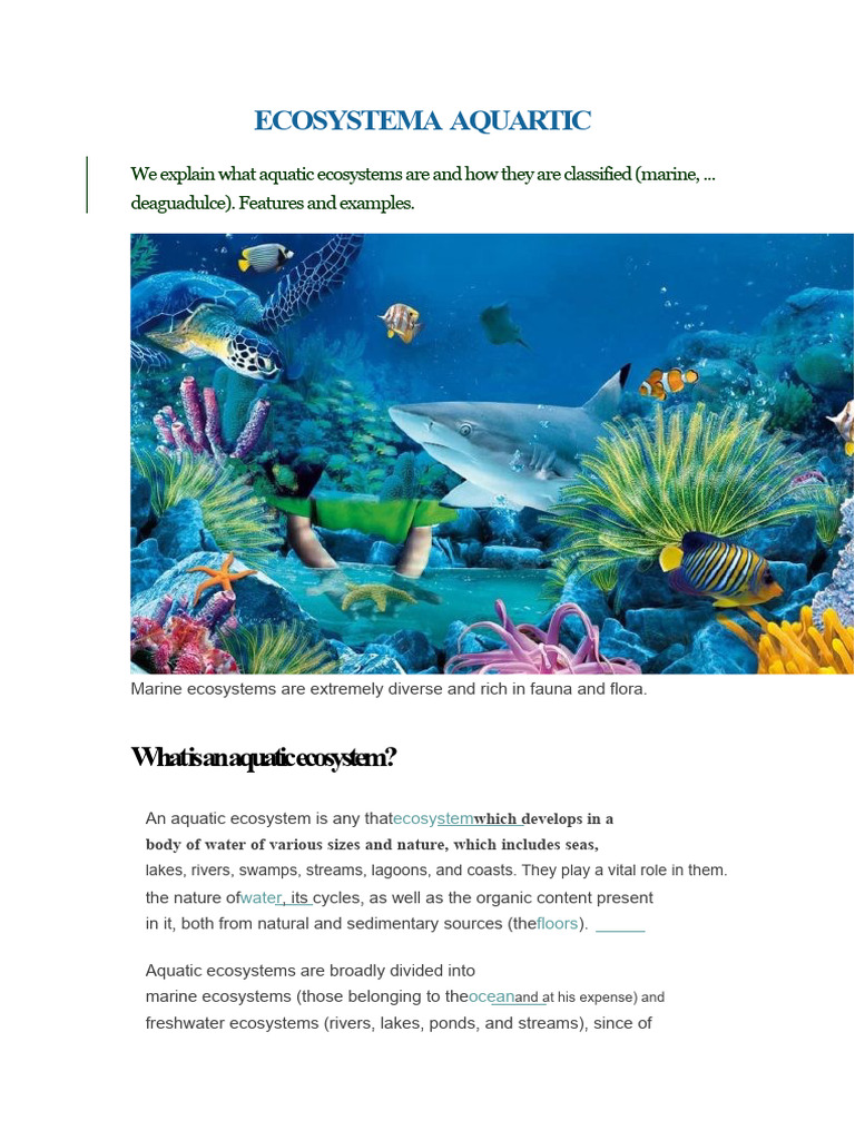 AQUATIC ECOSYSTEM Concept | PDF | Aquatic Ecosystem | Water