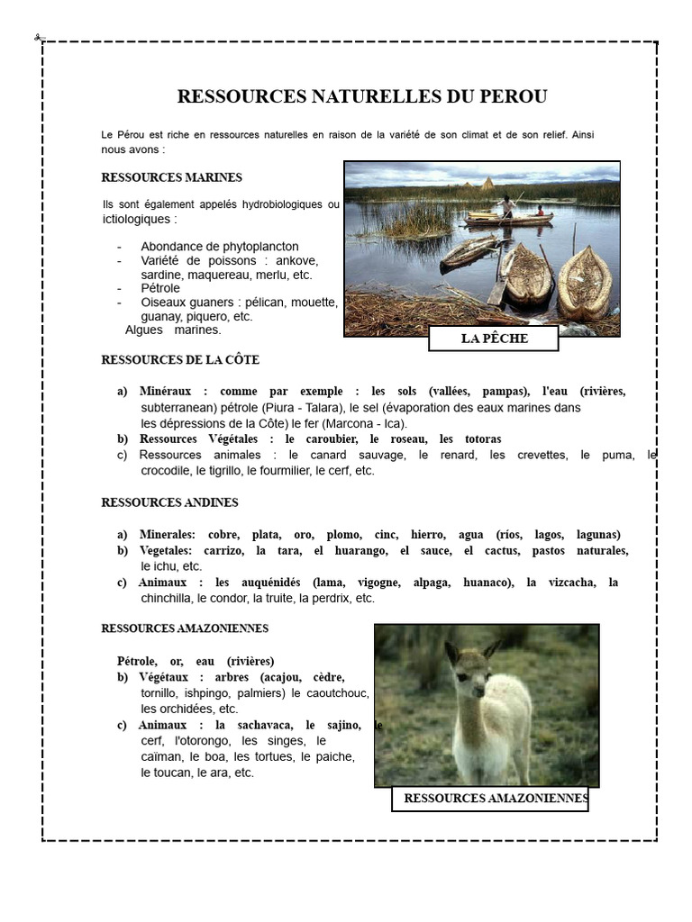 Ressources Naturelles du Pérou | PDF | Pérou