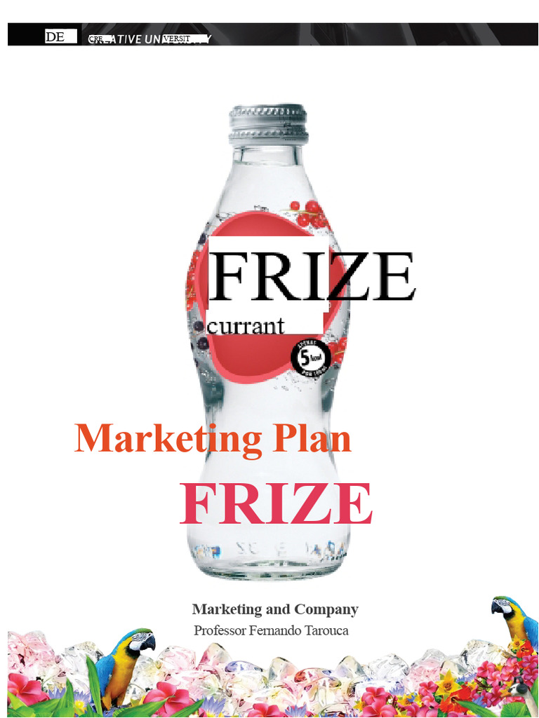 Frize Marketing Plan | PDF | Brand | Marketing