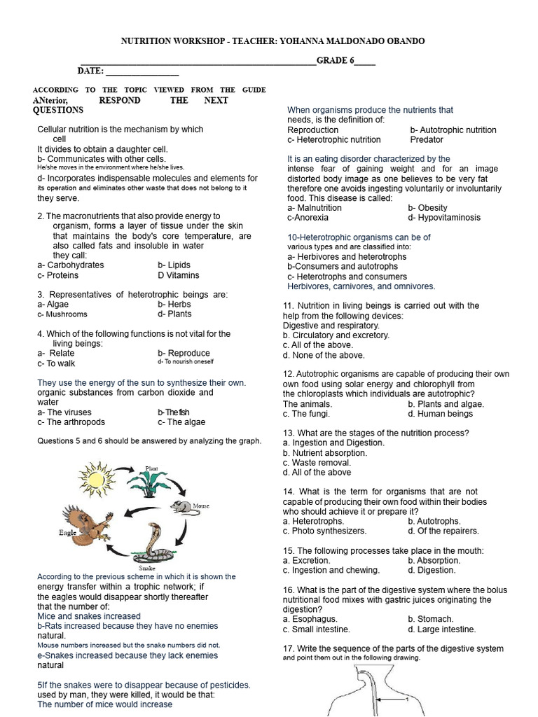 Nutrition Workshop Sixth | PDF | Nutrition | Diet & Nutrition