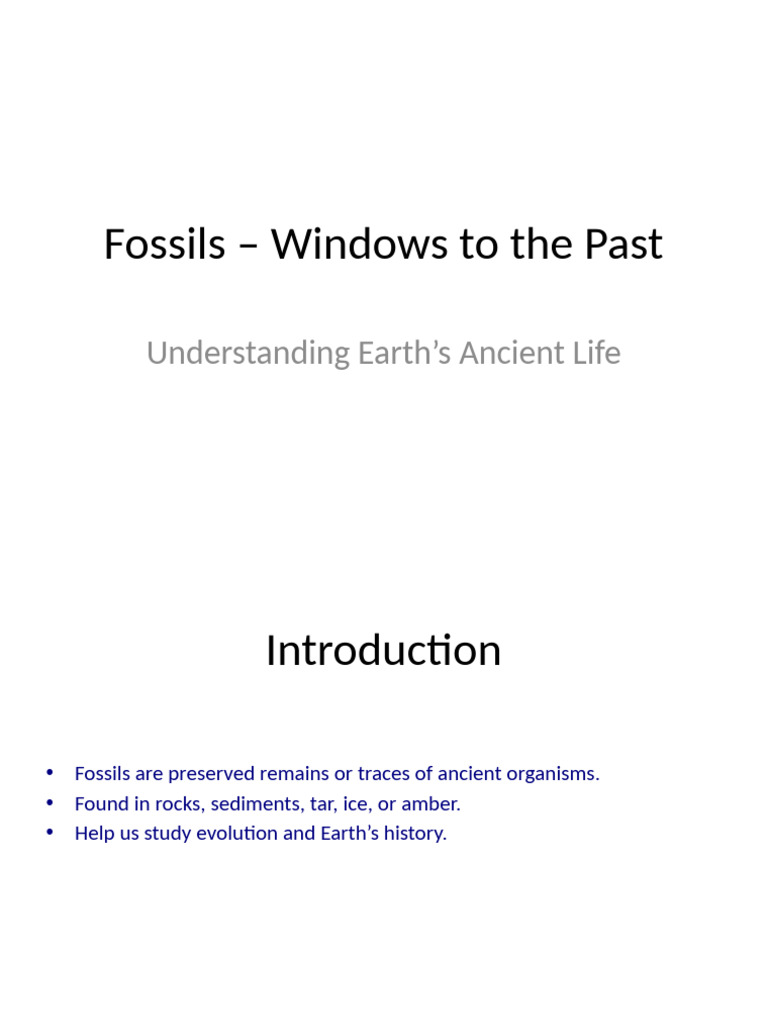 Fossils Presentation | PDF | Fossil | Rock (Geology)