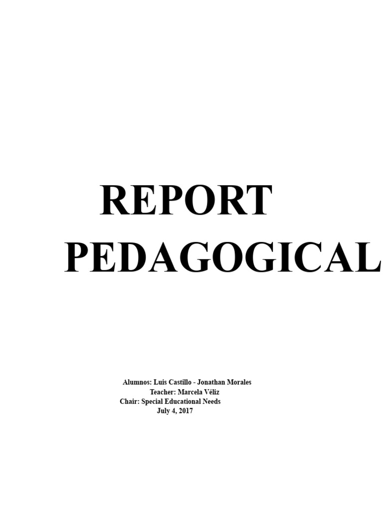 Pedagogical Report 2nd Grade | PDF | Memory | Cognition