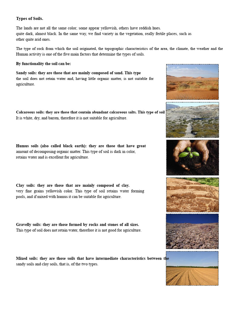 Types of Soil and Their Characteristics | PDF | Soil | Sedimentology