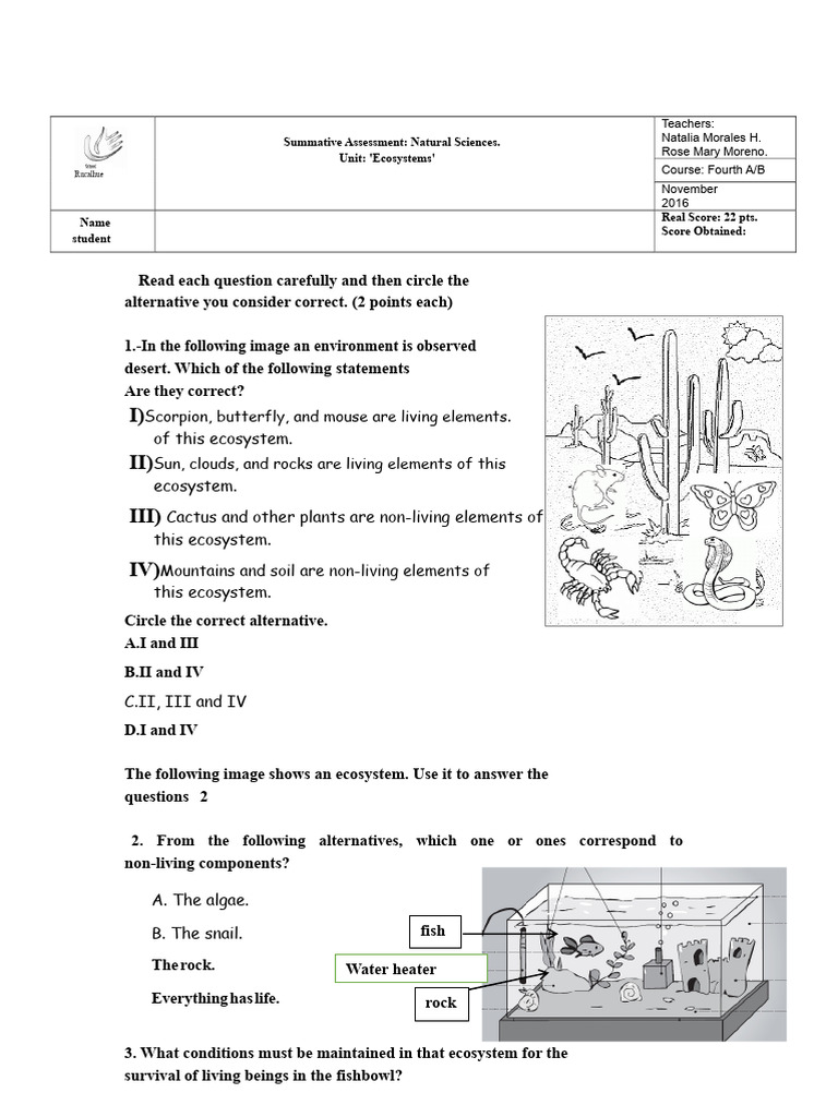 Ecosystems Assessment for Fourth Grade | PDF | Ecosystem | Natural ...