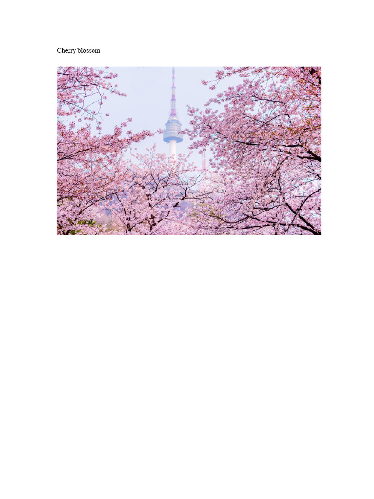 Cherry Blossom | PDF