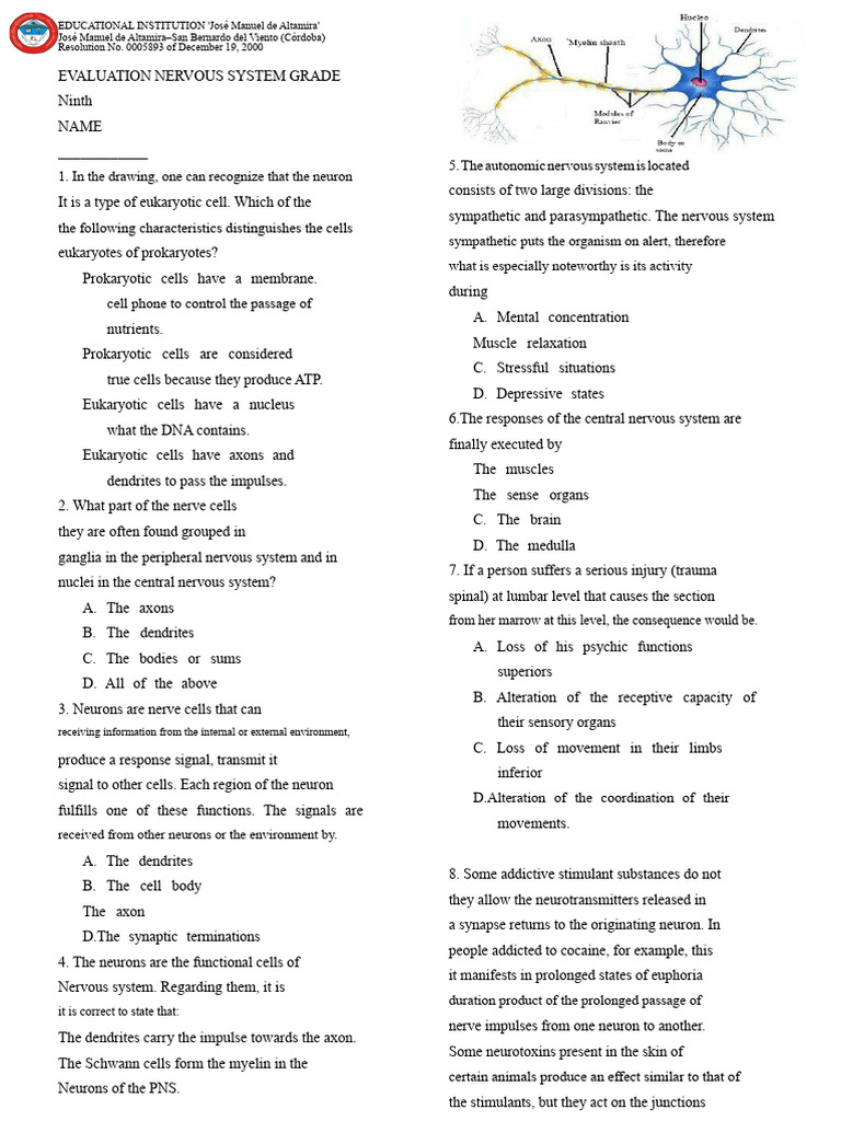 Evaluation Nervous System Ninth Grade | PDF | Neuron | Chemical Synapse