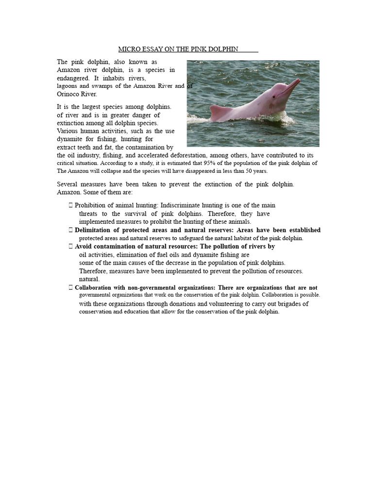 Micro Essay On The Pink Dolphin | PDF