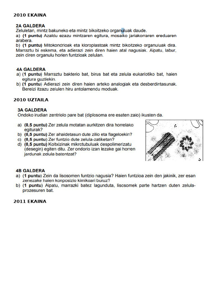 Blokea - Zelula | PDF