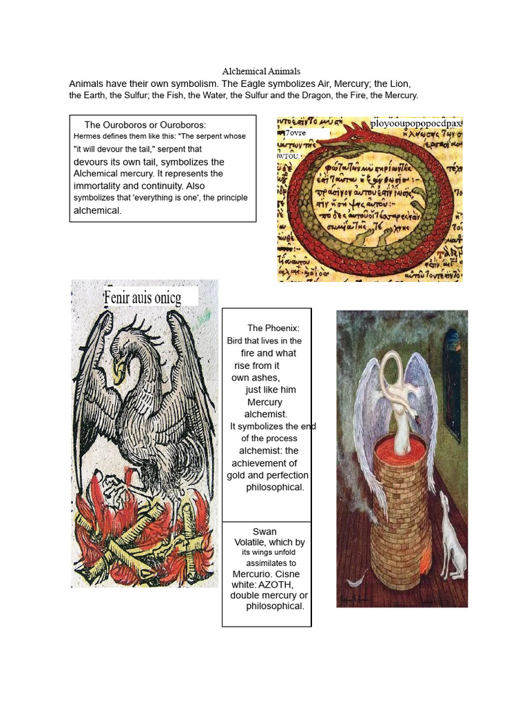 Alchemical Animals | PDF | Alchemy