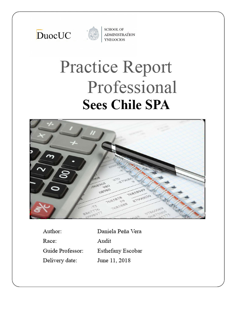 Professional Practice Report Duoc Plaza Norte | PDF | Taxes | Value ...
