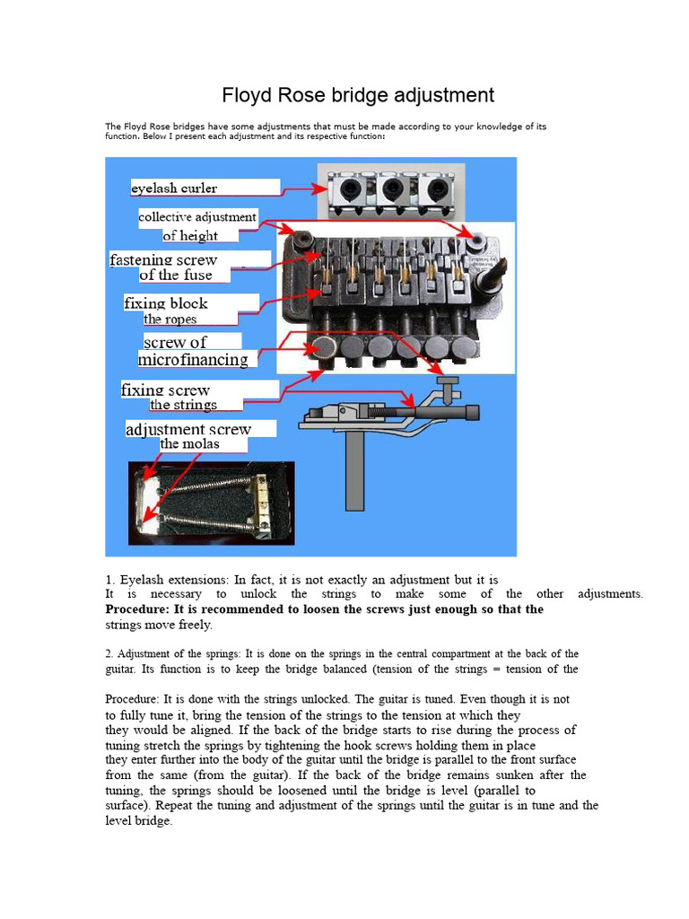 Floyd Rose Bridge Adjustment Guide | PDF | Guitars | String Instruments