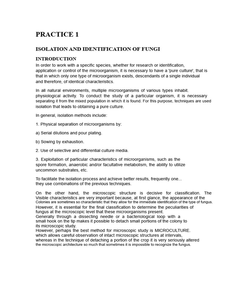 Fungal Isolation and Identification Techniques | PDF | Fungus | Biology
