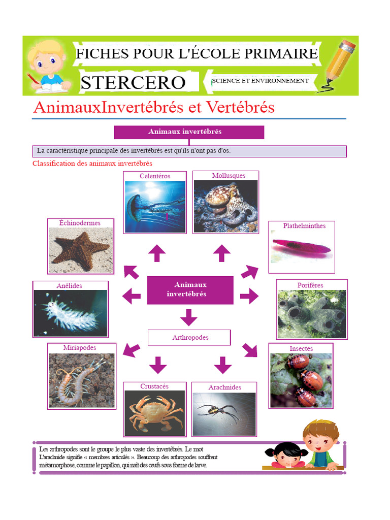 Animaux Invertébrés Et Vertébrés Pour Le Cours de Troisième Primaire ...