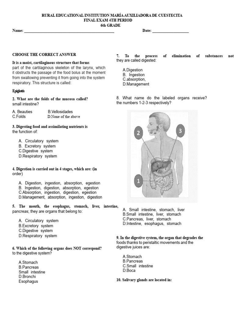 Sixth Grade Exam 4 | PDF | Human Digestive System | Digestion