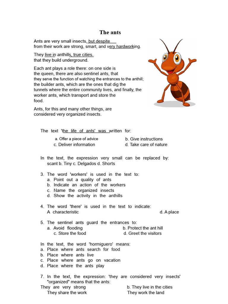 The Ants Activity | PDF