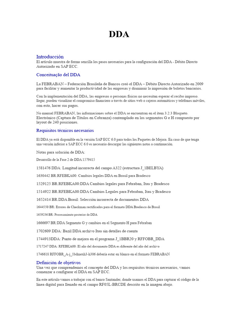 Parametrización DDA | PDF | Servidor (Computación) | Tarjeta de débito