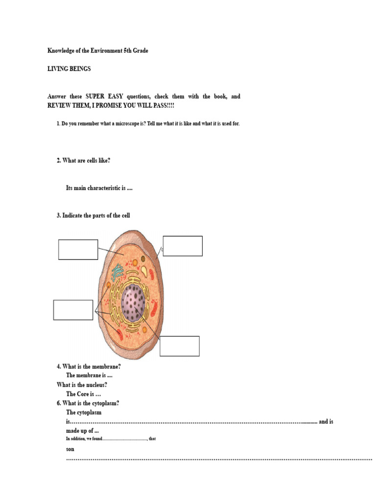 Knowledge of The Environment 5TH Grade Primary | PDF | Cell (Biology ...